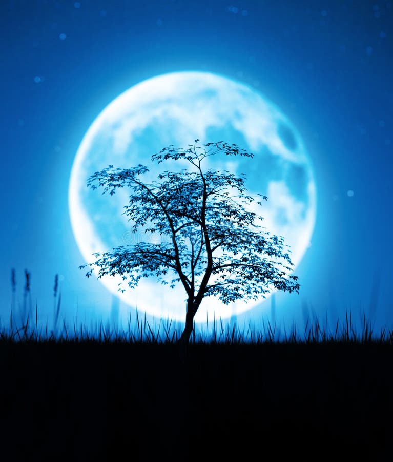 Tree in Grass Field at Night Against the Moon Stock Illustration ...