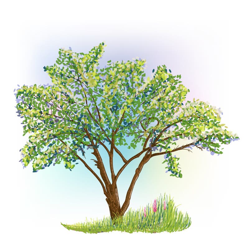 Tree and Grass with Flowers Drawing Stock Vector - Illustration of ...