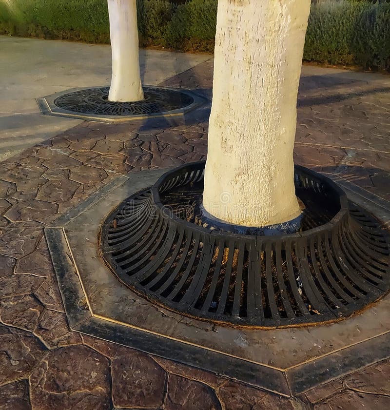 Tree Grate Iron Protection Tree Root Stock Image - Image of protection ...