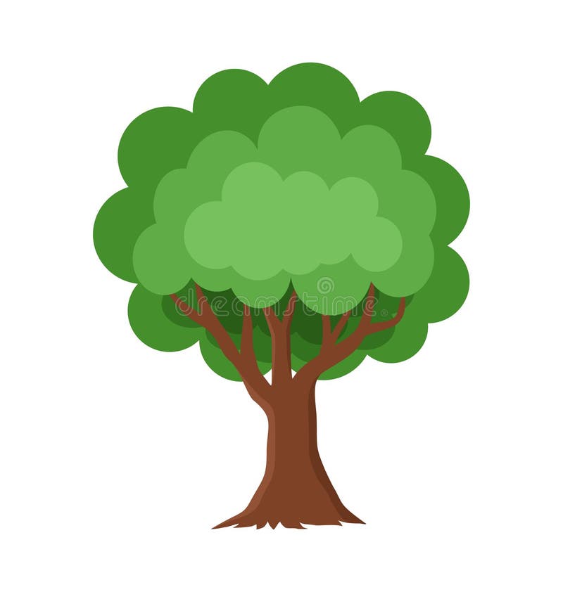 A Tree with a Green Crown and a Thick Trunk Isolated on a White ...