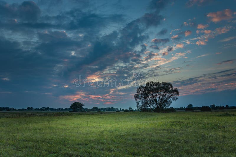 Tree on a Green Meadow, Horizon and Colorful Clouds on the Sky Stock ...