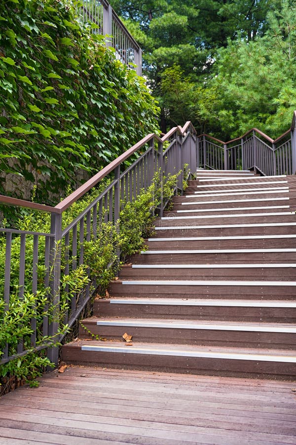 Tree Green Stair Path Background Stock Image - Image of park, grass ...