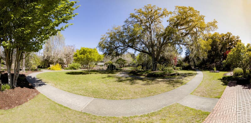 Tree and Greenery Lined Paths Give the Unmistakable Feeling of a New ...