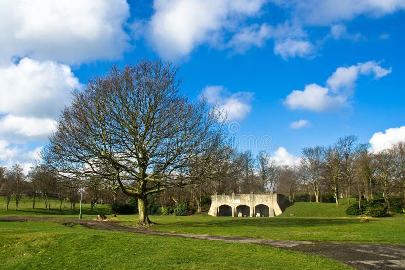 Tree in the Greenhead Park Huddersfield Stock Image - Image of blue ...