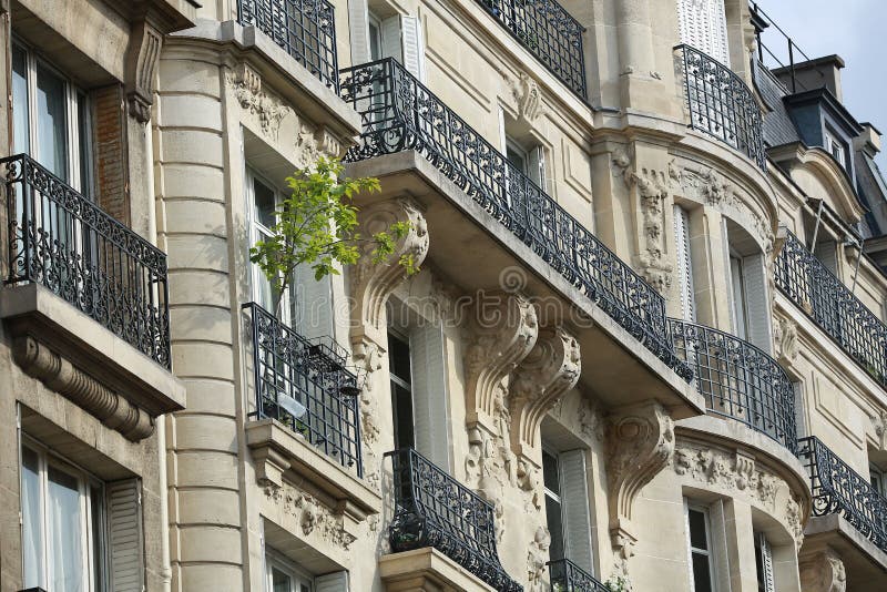 Tree stock photo. Image of real, exterior, city, area - 36583658