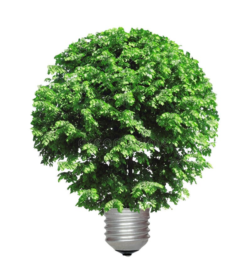 Tree Growing from the Base of the Light Bulb Stock Photo - Image of ...