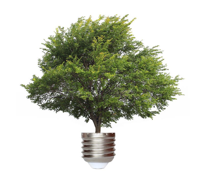 Tree Growing from the Base of the Light Bulb Stock Photo - Image of ...
