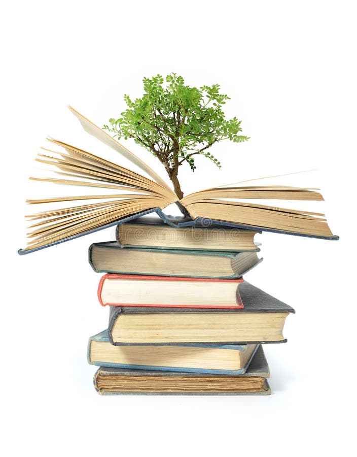 Tree growing from book stock photo. Image of knowledge - 21627354