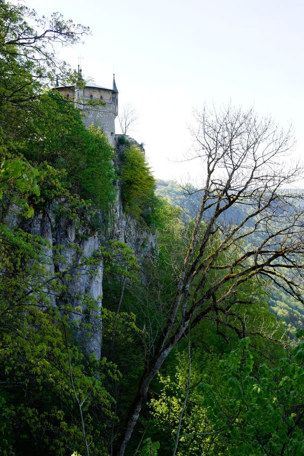 Tree Growing from Cliff Limestone Hills Editorial Stock Image - Image ...