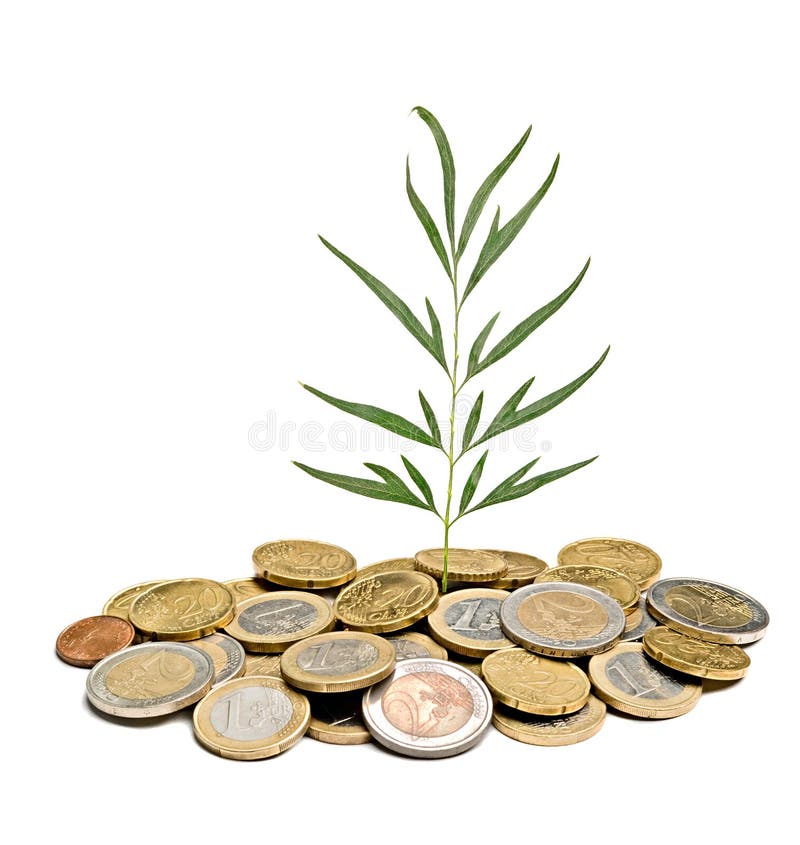 Tree growing from coins stock photo. Image of plant, ecology - 16501302
