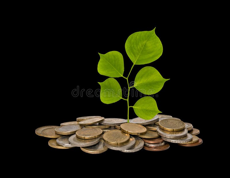 Tree growing from coins stock image. Image of close, ecology - 16547277