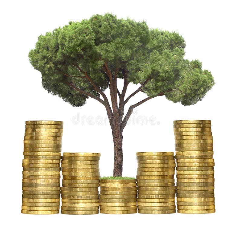 Tree growing from coins stock image. Image of gold, needle - 25980333