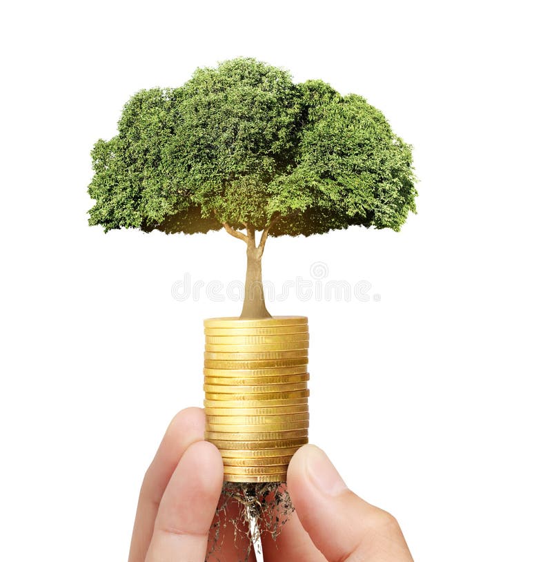 Tree growing from coins stock photo. Image of idea, beginning - 43168060