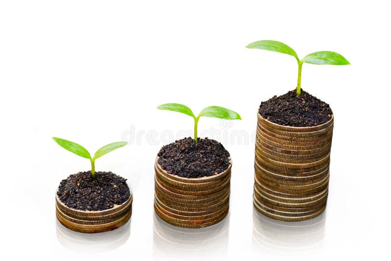 Tree growing on coins stock image. Image of hands, forecast - 38622601