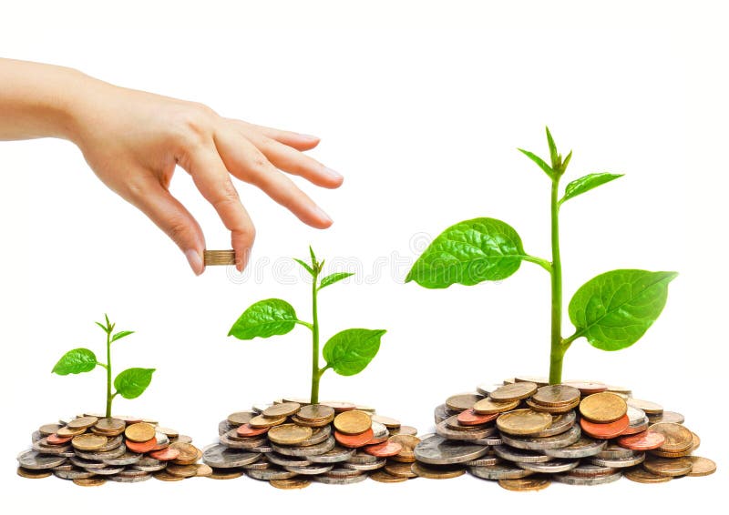 Tree growing on coins stock image. Image of governance - 41995697