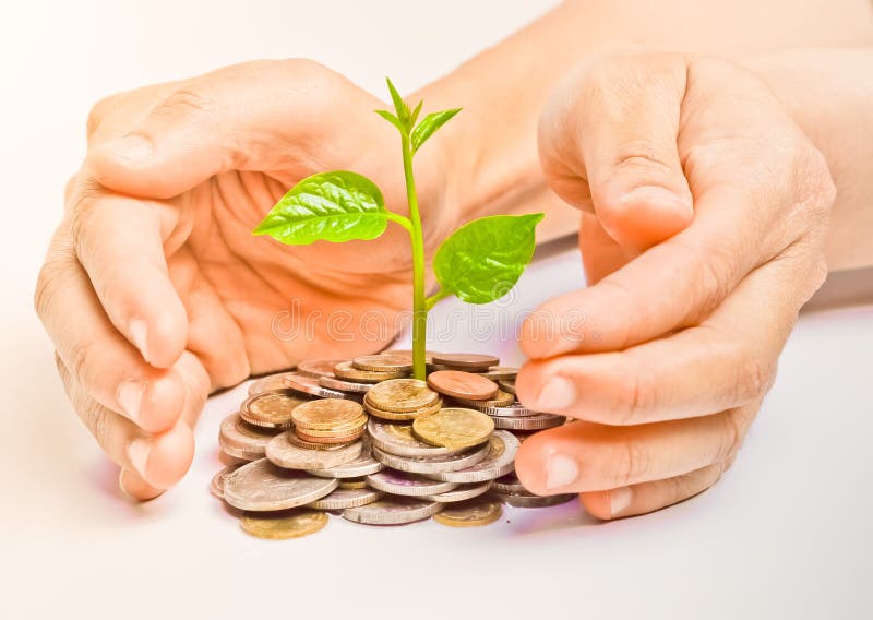 Tree growing on coins stock photo. Image of hands, economic - 38622532