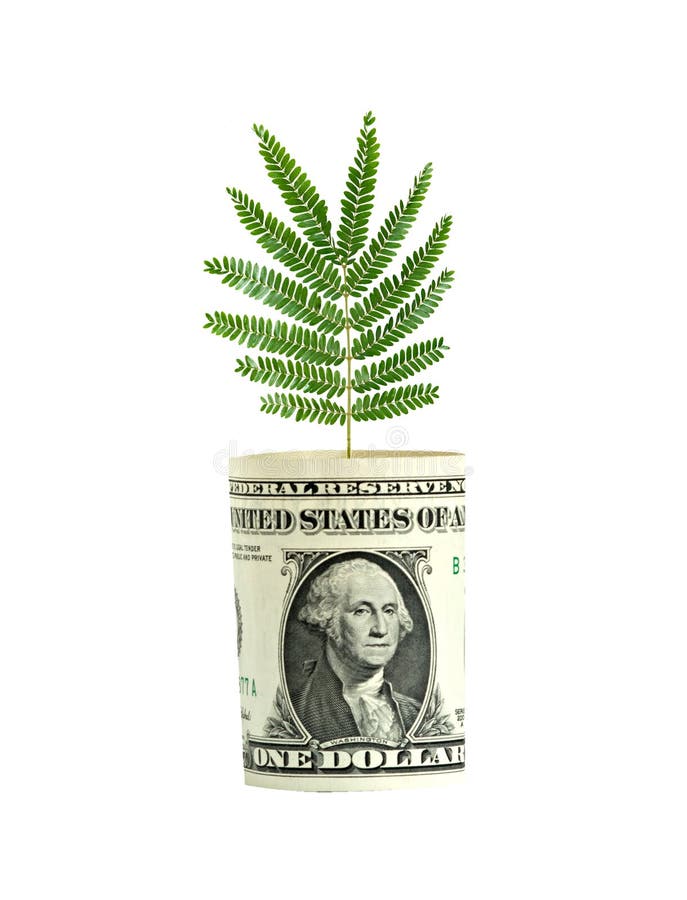 Man Relaxing on Sofa and Work on Laptop Computer Stock Photo - Image of ...