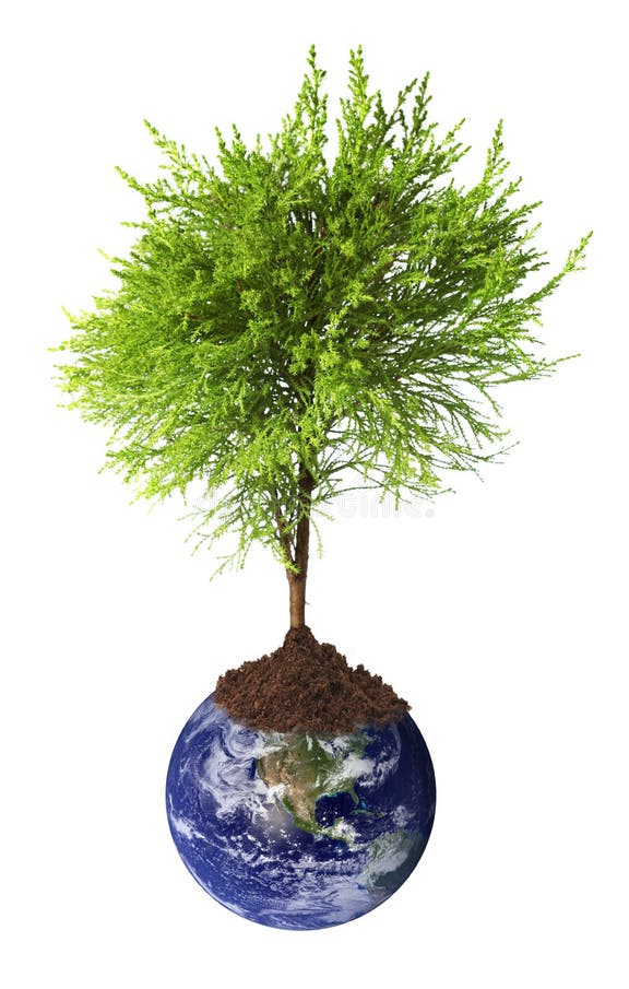 Tree growing from earth stock image. Image of earth, grow - 8481435