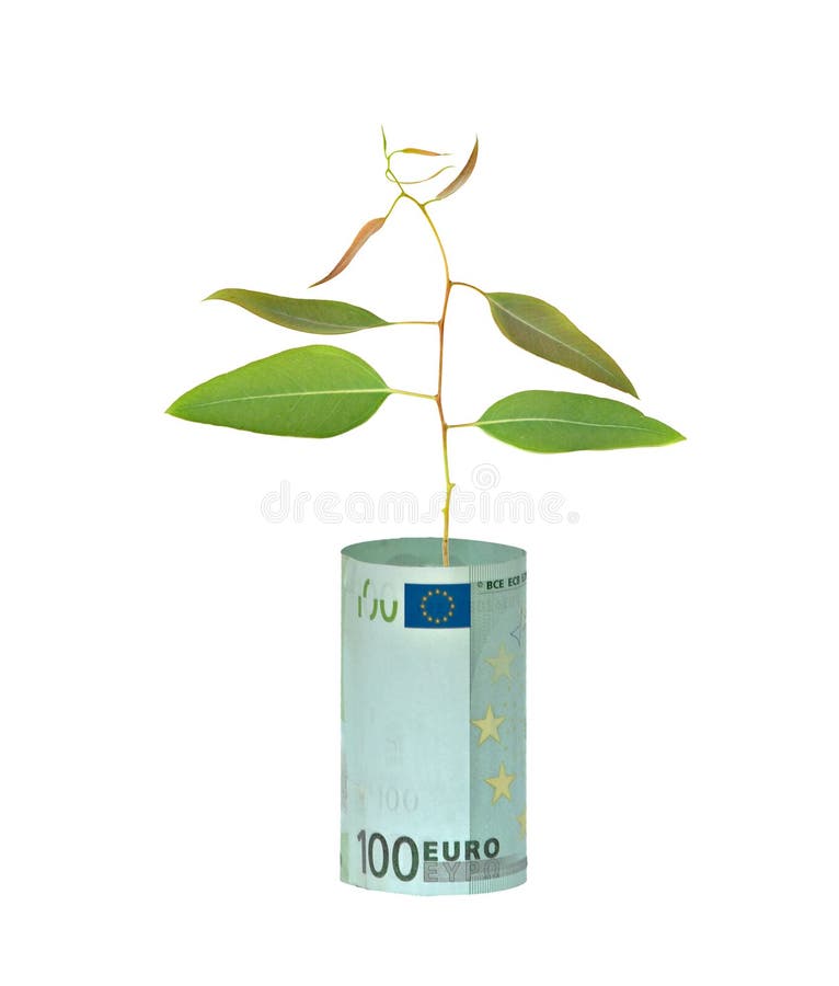 Tree Growing from Euro Bill Stock Image - Image of banknote, euro: 9740859