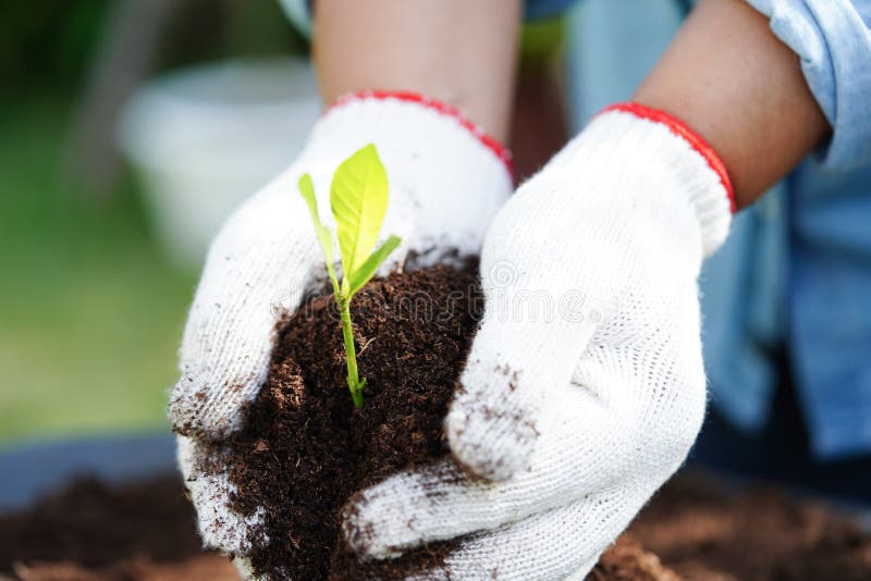 Tree Growing with Hand, Eco Earth Day, Save World, Save Earth, Go Green ...