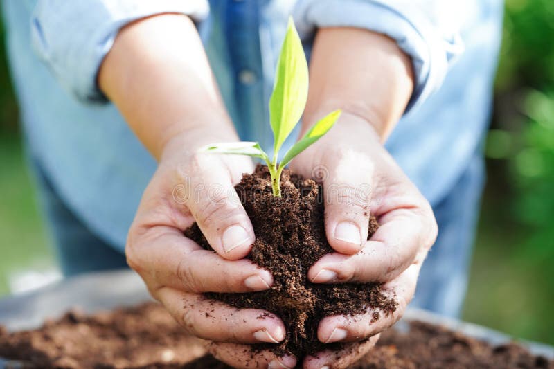 Tree Growing with Hand, Eco Earth Day, Save World, Save Earth, Go Green ...