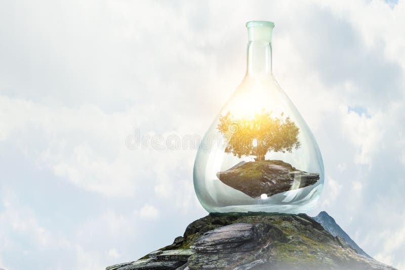 Tree Growing Inside Clear Glass Bottle Stock Image - Image of cosmetics ...