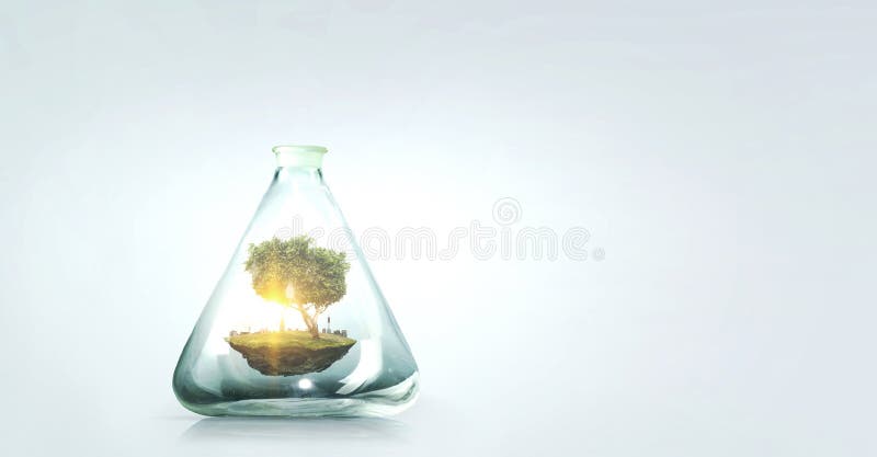 Tree Growing Inside Clear Glass Bottle . Mixed Media Stock Photo ...