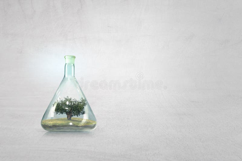 Tree Growing Inside Clear Glass Bottle Stock Illustration ...