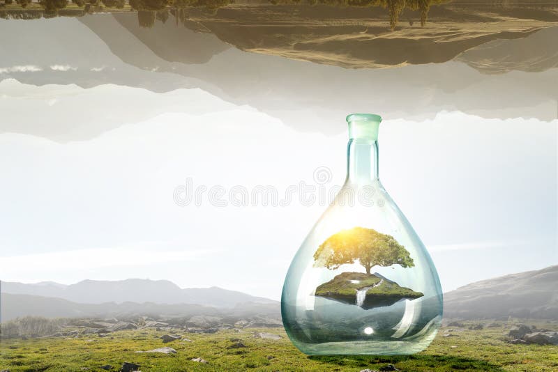 Tree Growing Inside Clear Glass Bottle Stock Illustration ...
