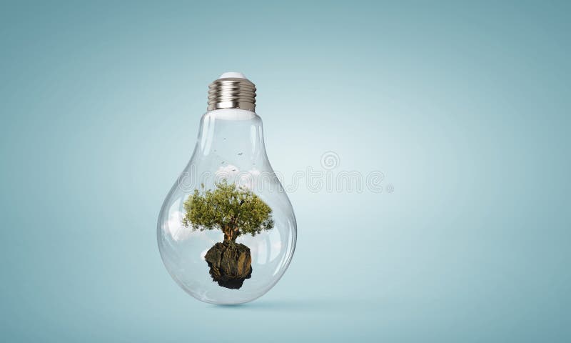 Tree Growing Inside Light Bulb Stock Photo - Image of bulb, green ...