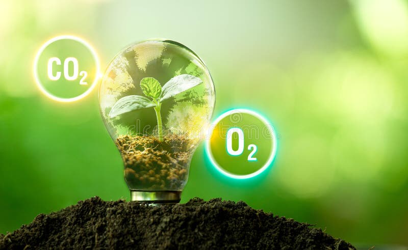 The Tree Growing in a Light Bulb. Creative Ideas of Earth Day or Save ...