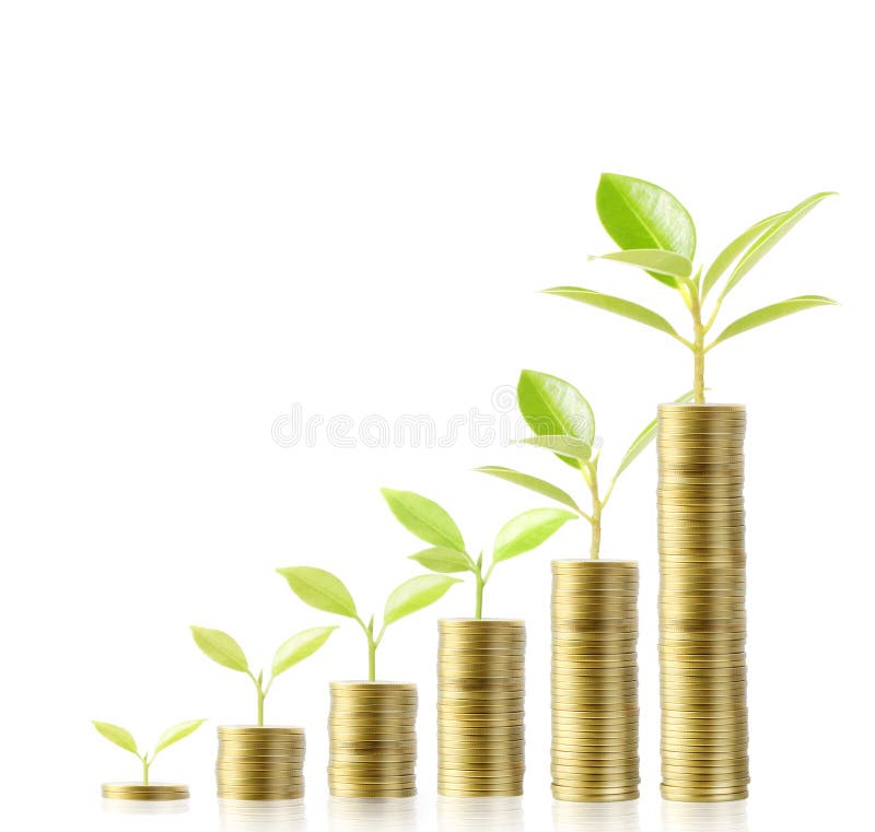 Tree growing from money stock photo. Image of isolated - 53082222