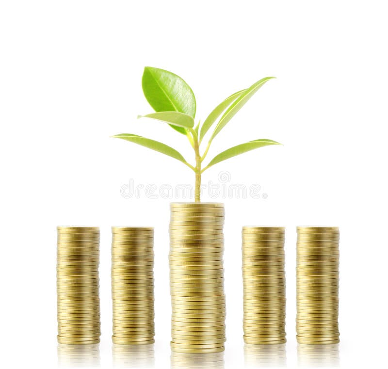 Tree growing from money stock photo. Image of environment - 53088700