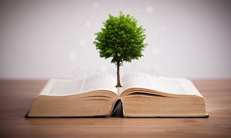 Tree Growing From An Open Book Stock Photo - Image of objects ...