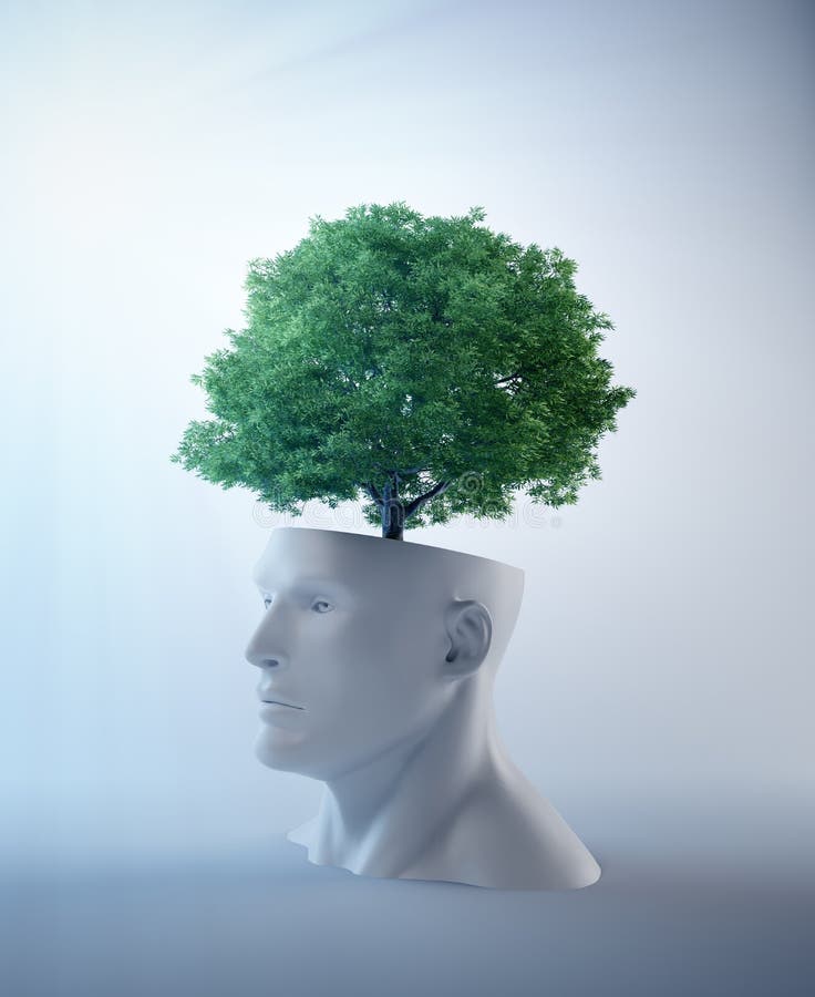 Brain tree - human head stock image. Image of education - 24076423
