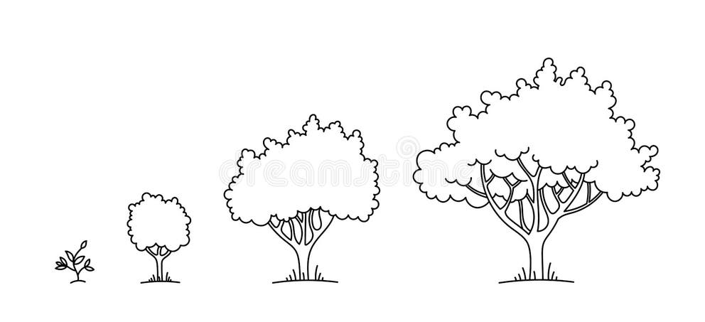 Tree Growing Process. Development Stage. Orchard Garden. Sizes from ...
