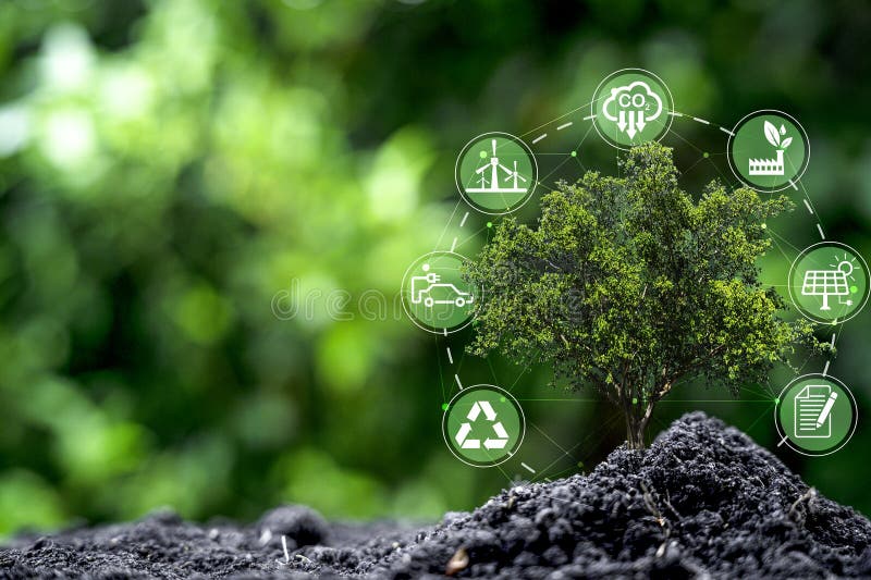 Tree Growing on Soil with Environment Icon for Decrease CO2 , Carbon ...