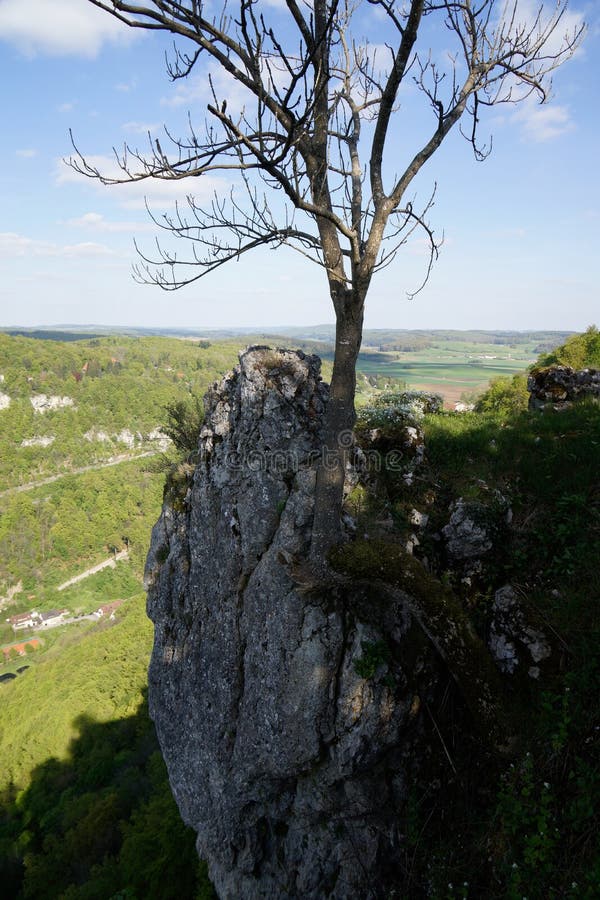 Tree Growing on Top of a Mountain Editorial Image - Image of castle ...
