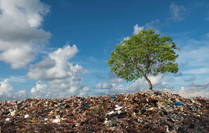Tree Grows between Mountains of Trash. in Unreal Surreal Environment ...