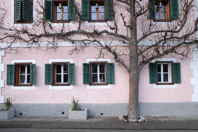 The Tree Grows Next To the House Stock Photo - Image of built, outdoors ...