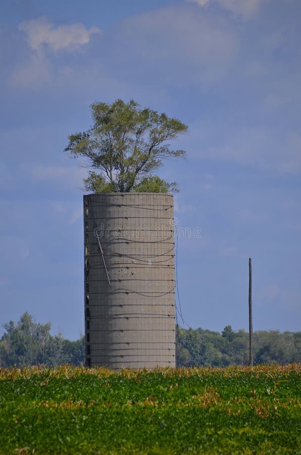 Tree grows out of silo stock image. Image of field, crop - 44651243