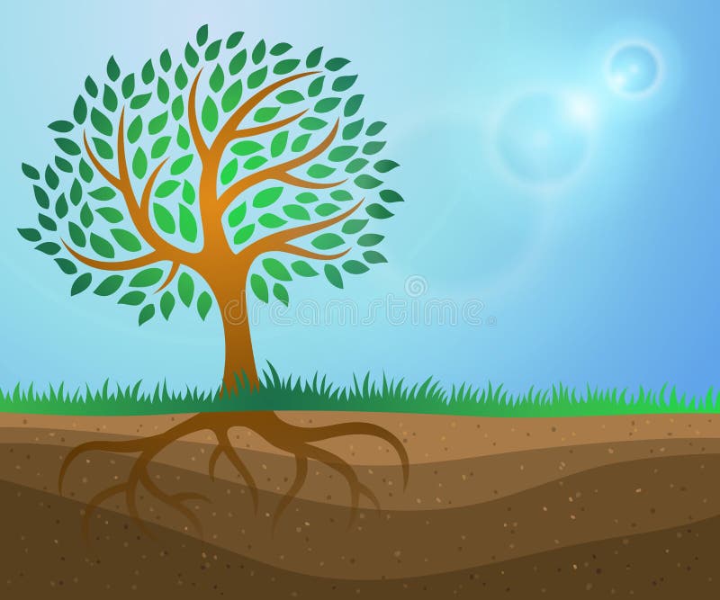 Oak Tree With Roots Clip Art Trees Roots Logo Stock Illustrations