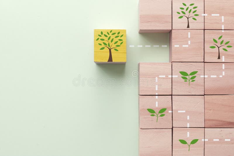 Tree growth concept stock image. Image of space, phases - 259908211