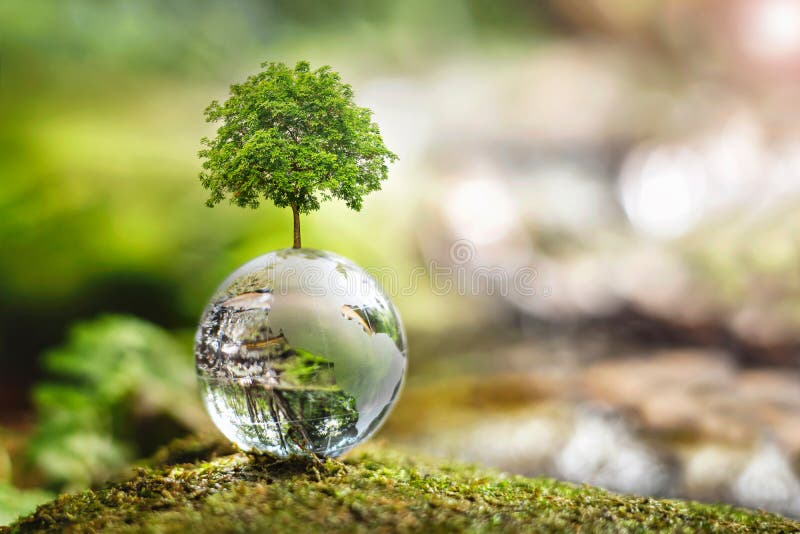 Tree Growth on Globe Glass in Nature. Concept Eco Earth Day Stock Photo ...