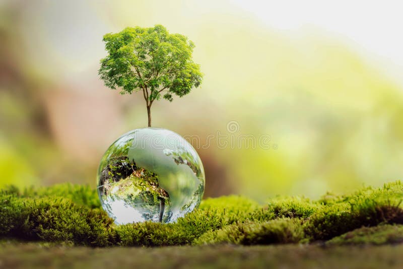 Tree Growth on Globe Glass in Nature. Concept Eco Earth Day Stock Photo ...