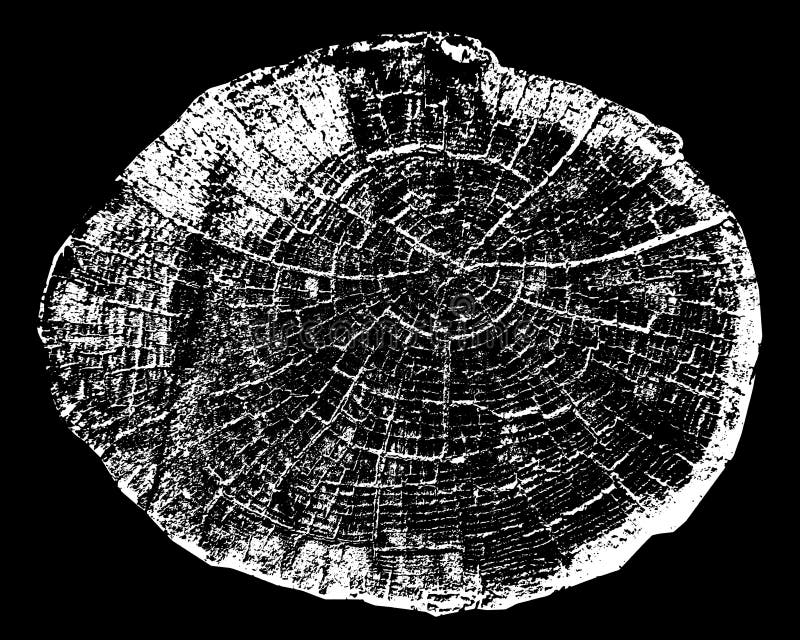 Tree Growth Rings. Natural Cut Wood. Vector Illustration. Stock Vector ...