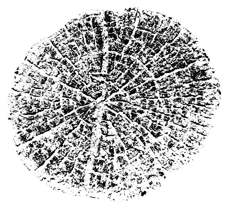 Tree Growth Rings. Natural Cut Wood. Trace Vector Illustration Stock ...