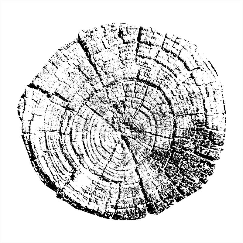 Tree Growth Rings. Natural Cut Wood. Vector Illustration. Stock Vector ...
