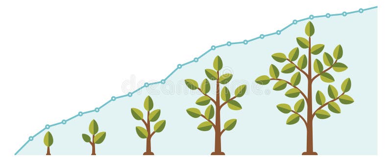 Tree Growth Speed Line Graph. Infographic Chart Stock Vector ...