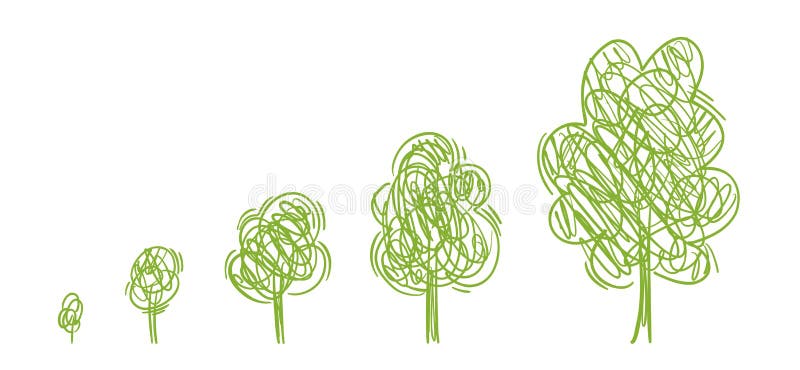 Tree Growth Stages. Forest Growing. Ecology Drawing Sketch. Plant ...